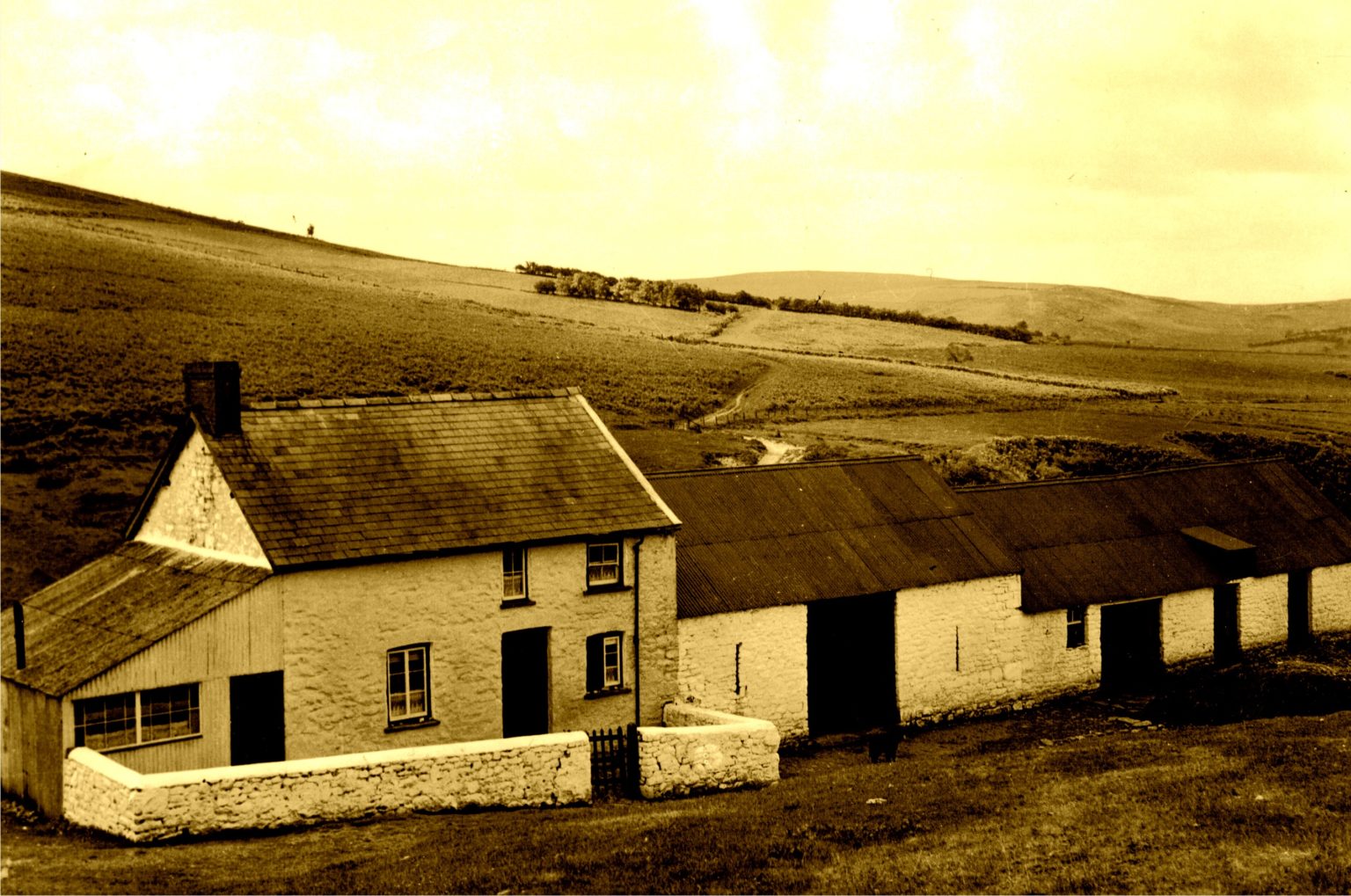 'It's the end of the world': Why we should remember the clearing of ...