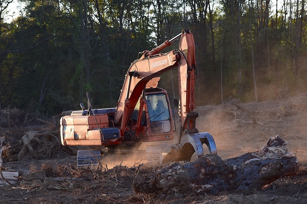Now is the time for Wales to become the world’s first Deforestation ...