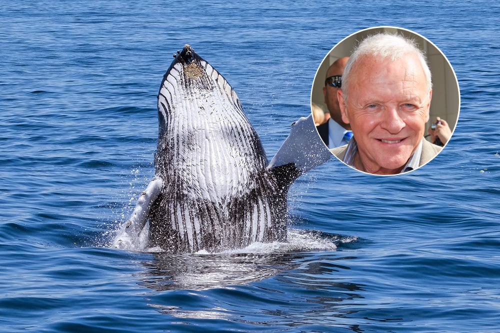 Video roasted for subtitle blunder saying Anthony Hopkins is speaking ...