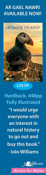 Western Mail chief reporter Martin Shipton takes up new role as editor ...