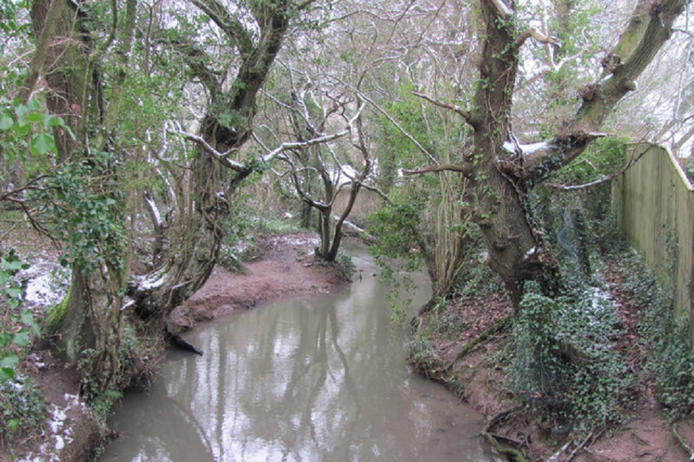 ‘Very little done’ to protect Dinas Powys more than a year after severe ...