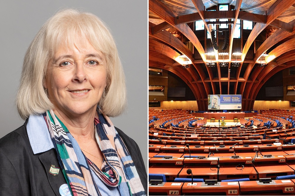 Welsh MP who represents UK on the Council of Europe yet to vote or ...